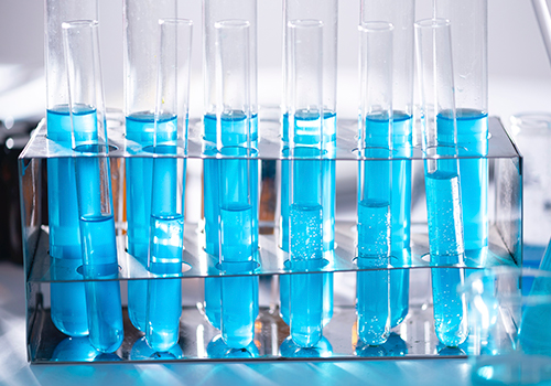 MSD CONECTA Página Principal